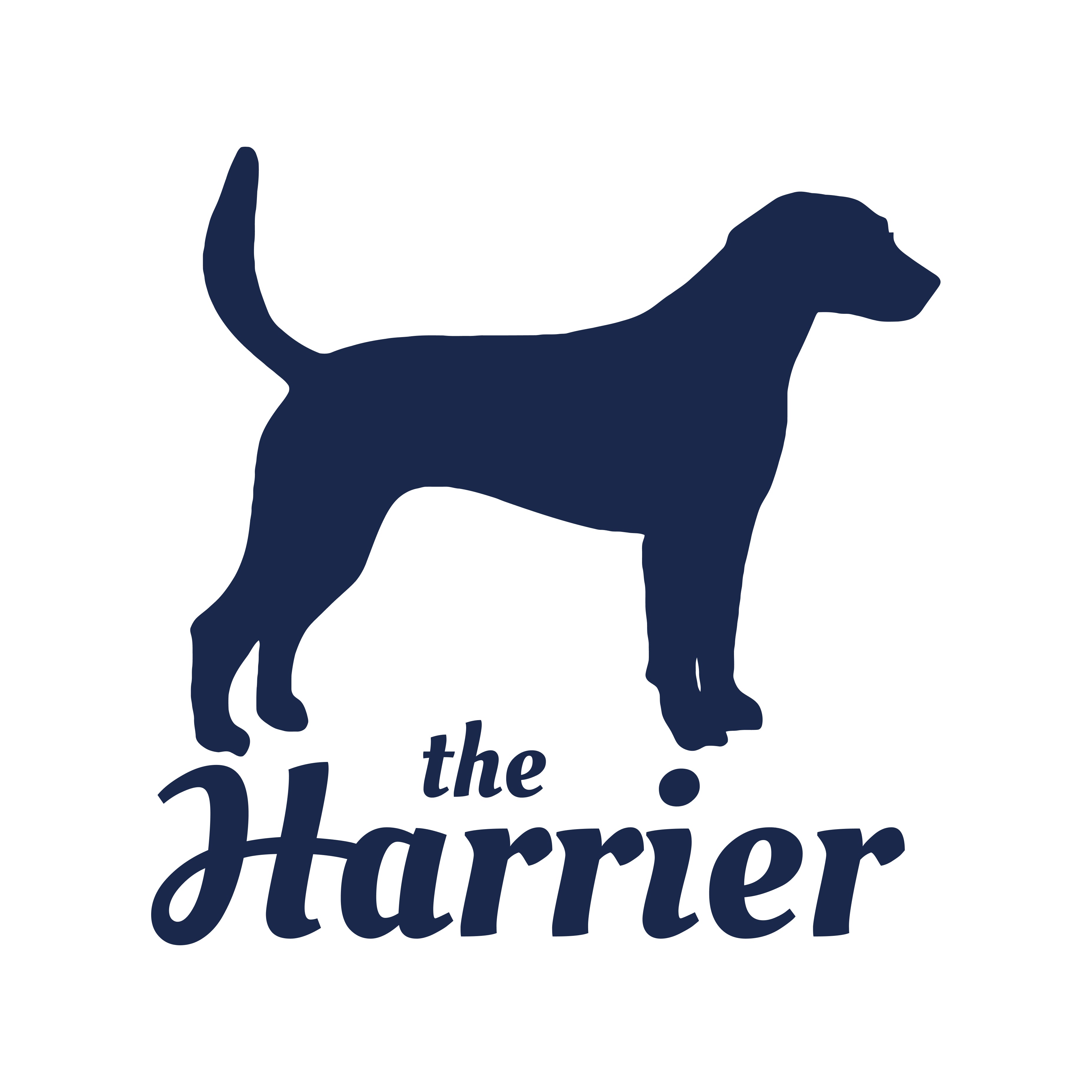 T-Shirts – The Harrier
